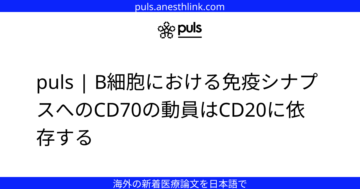 puls | B細胞における免疫シナプスへのCD70の動員はCD20に依存する